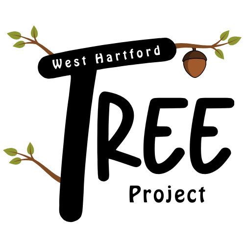 About – West Hartford Tree Project